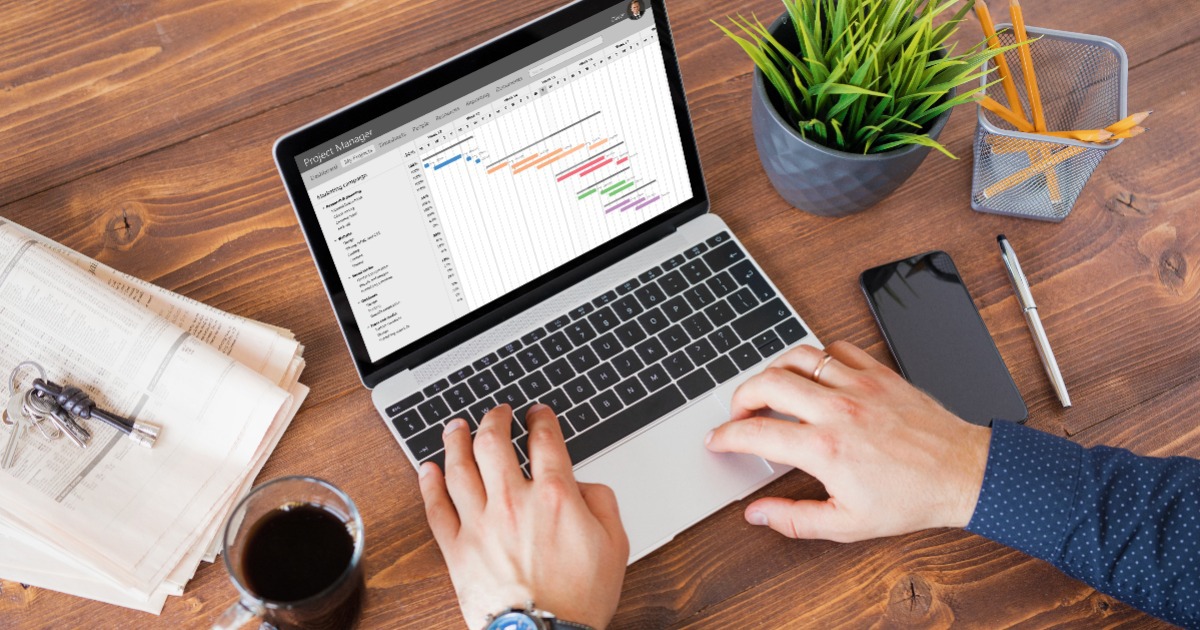 Why Microsoft Office Skills Are Important | Pitman Training